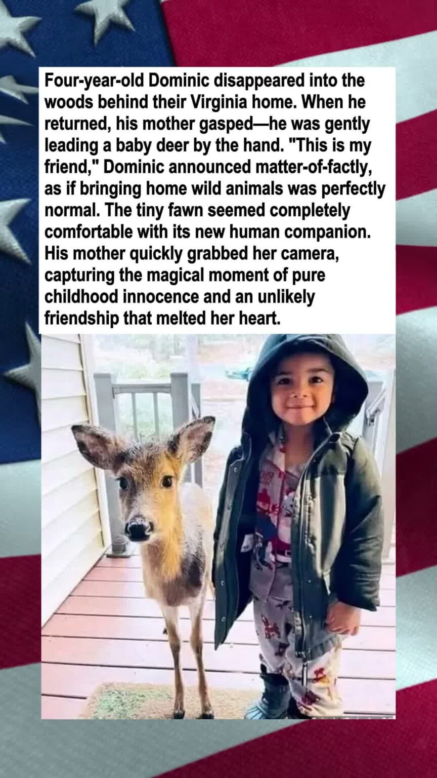 4-Year-Old Brings Home Baby Deer Friend – NSB